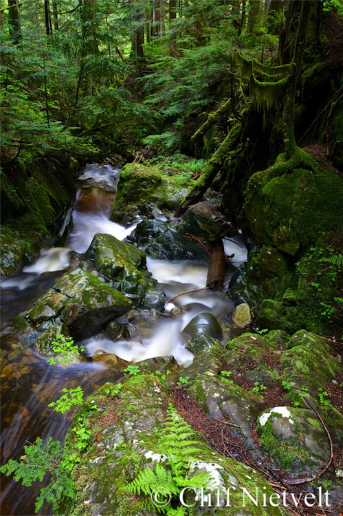 Cliff Nietvelt Photography | Southern BC